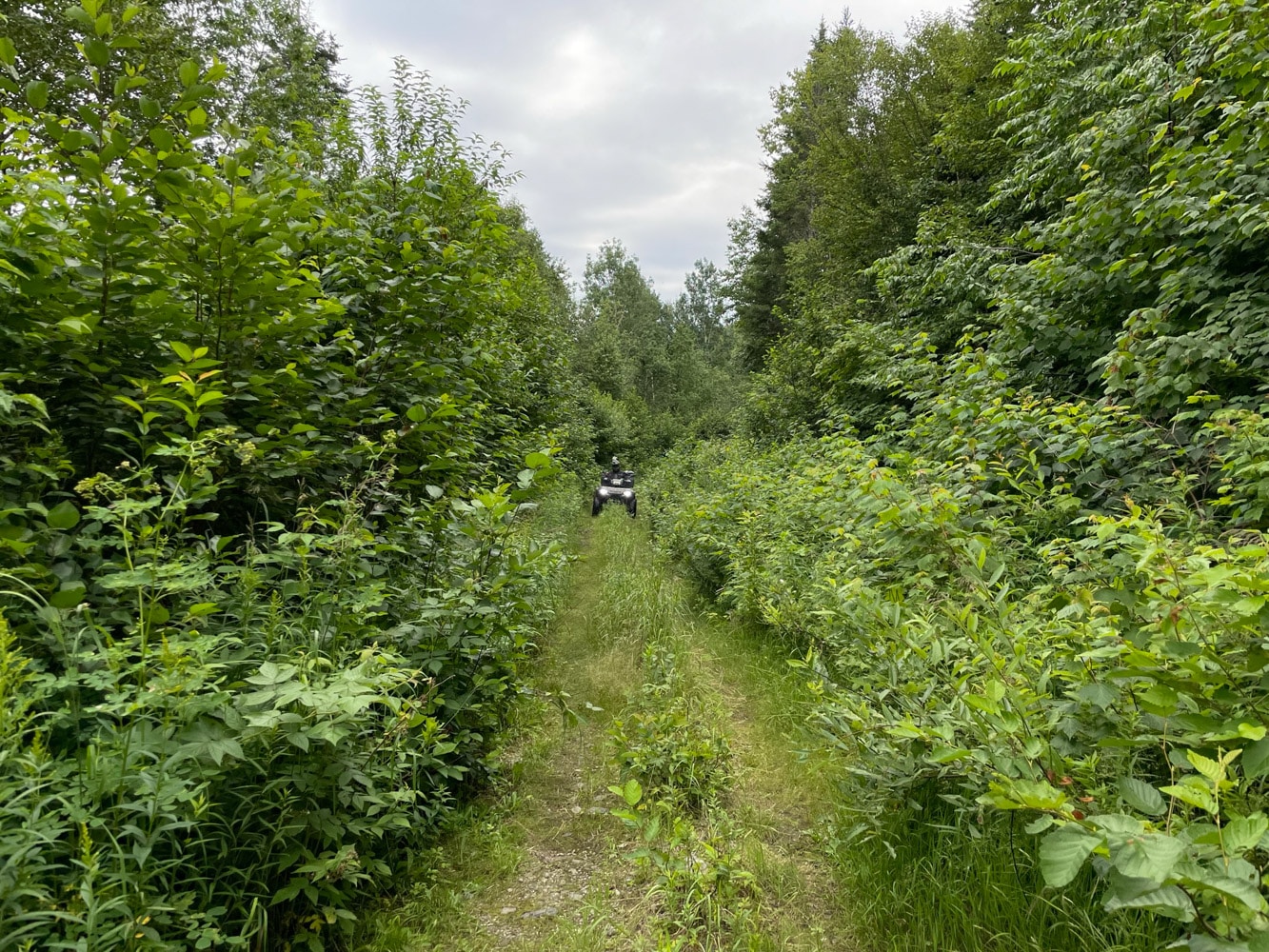 Quebec North Shore Trip 2023 (first part) - ATV Trail Rider Magazine
